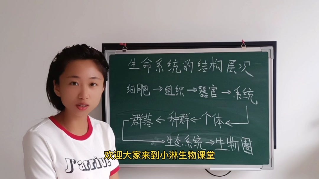 高中生物:生命系统的结构层次