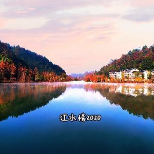 江水情2020 