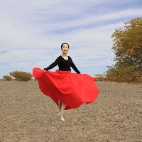 安徽芜湖文舞飞扬舞队 