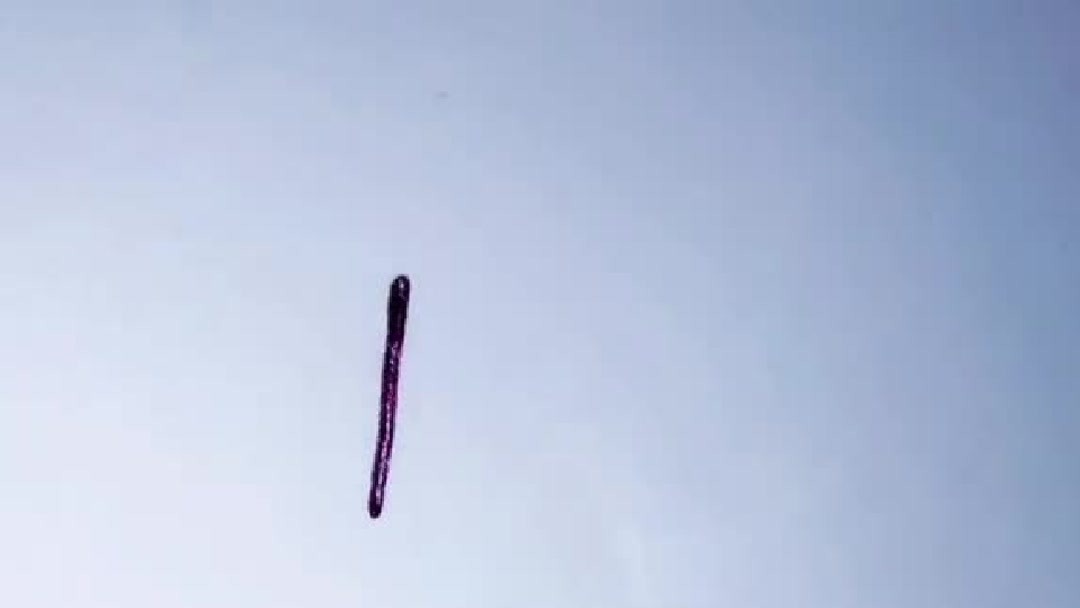 用数字110#简笔画