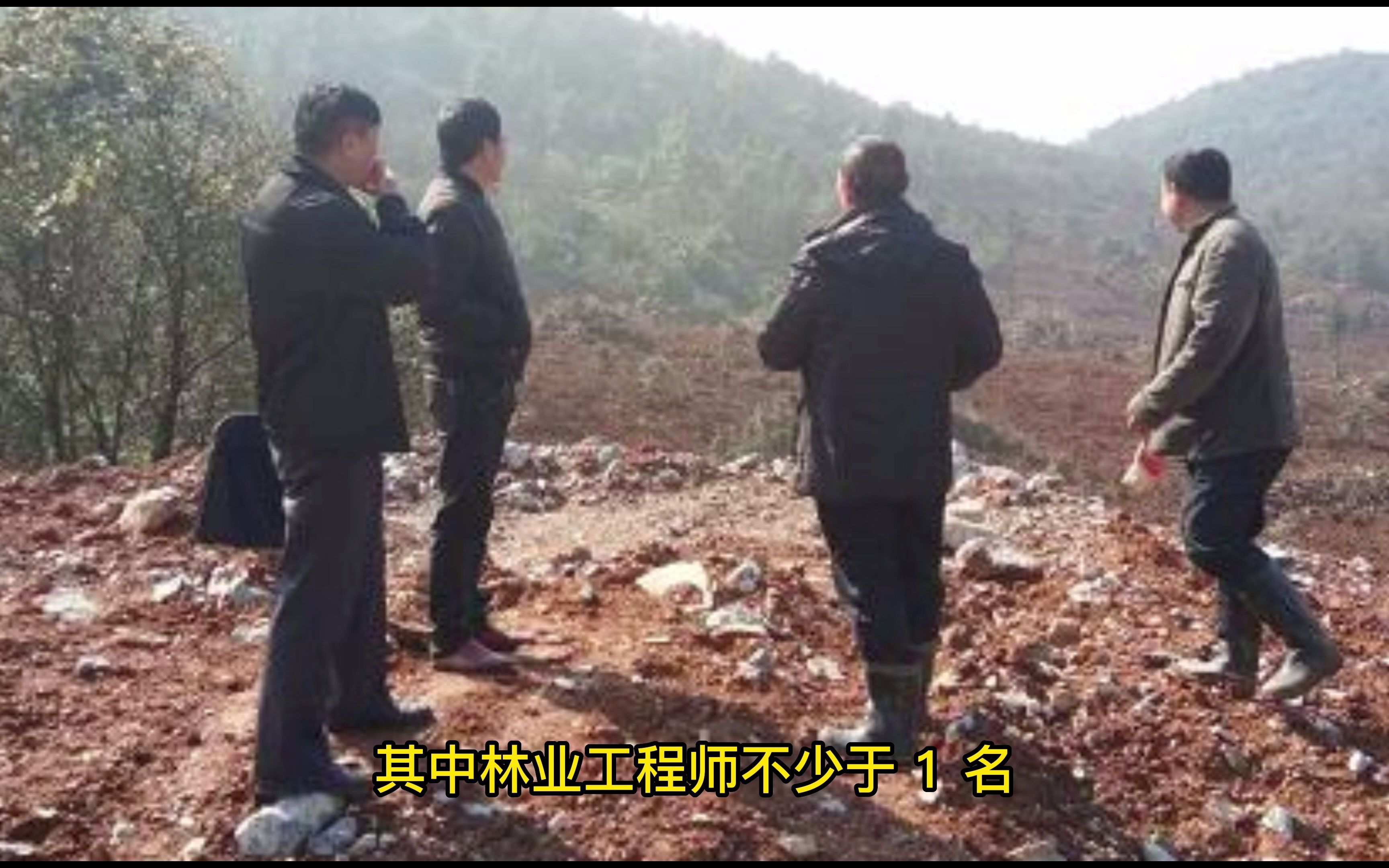 广东造林绿化施工单位资质整转指南