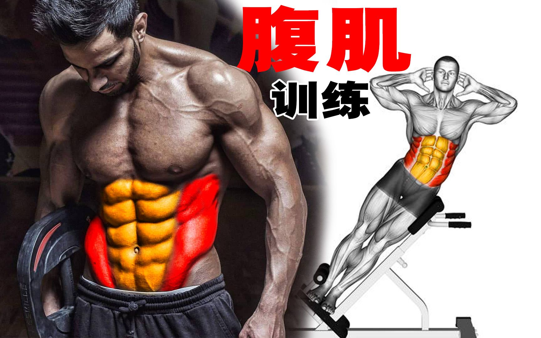 5个腹肌训练动作,多角度全方位的刺激腹肌,让你快速练出腹肌