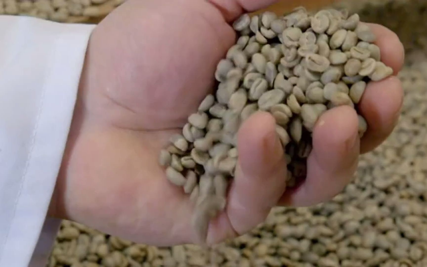 一天就可以生产175000罐咖啡,走进咖啡工厂,一探其生产线