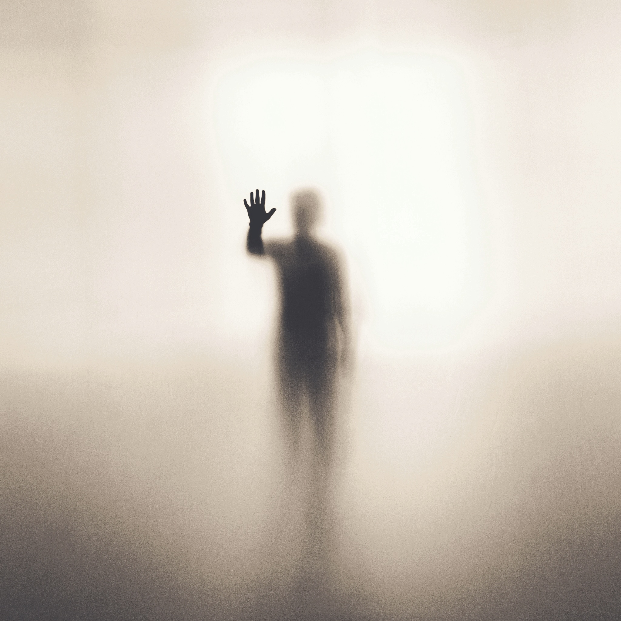 不画图的设计狮 