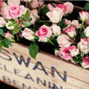 最喜欢的感觉谁 