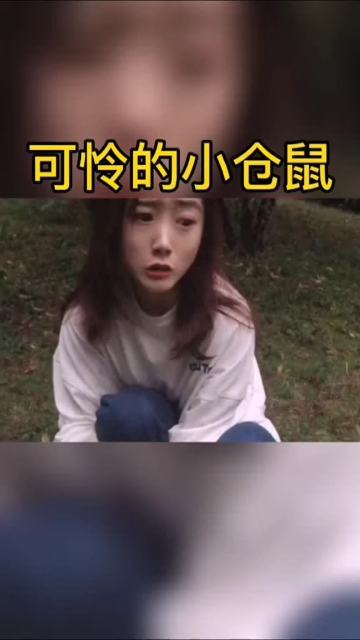 小仓鼠我本来就是一个小感冒哈哈