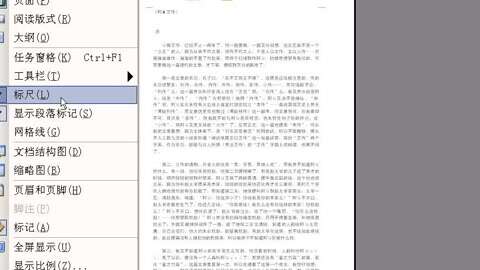 wps ppt文稿如何显示页面左边的垂直竖排标尺