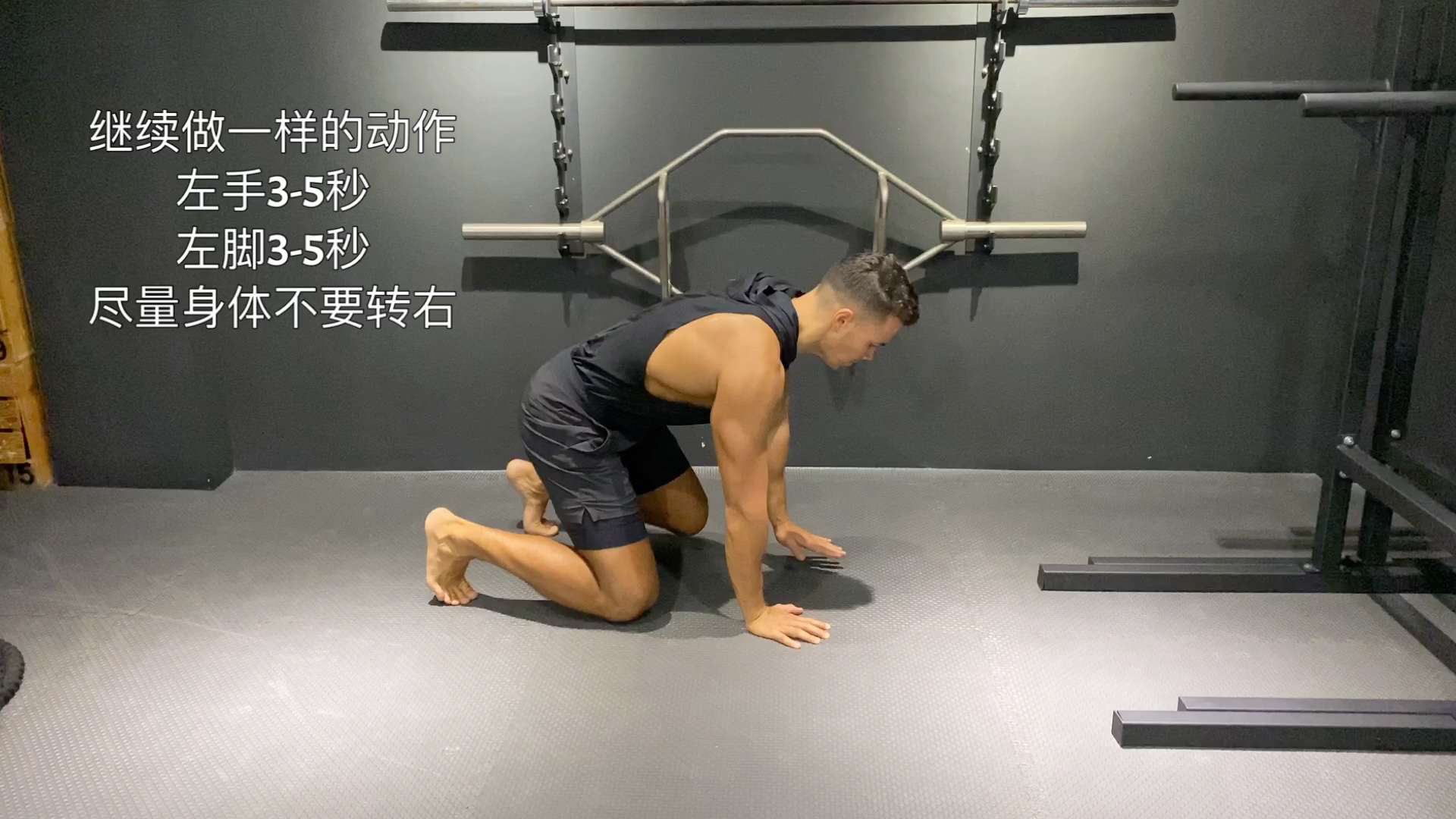 动物流 核心稳定性训练