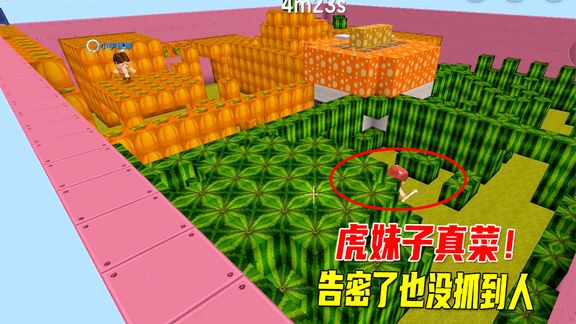 迷你世界:方块躲猫猫,小墨小宇互相告密,透漏假消息忽悠虎妹子