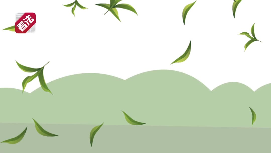 【动画】新型毒品穿上“马甲” 竟伪装成跳跳糖 茶叶包 饮料