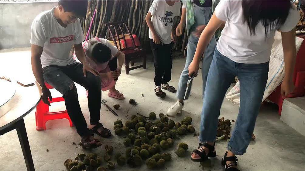 生板栗怎么去壳最快?农村姑娘使劲浑身解数,差点累个半死