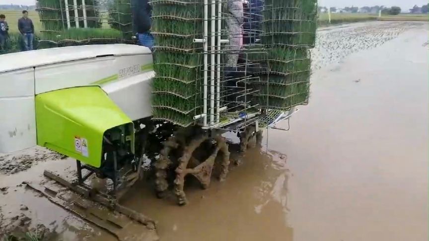 不好意思,我被围观了!——水稻抛秧机