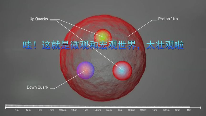哇!这就是微观和宏观世界,太壮观啦