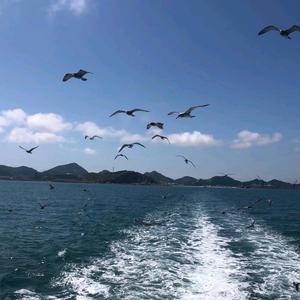 山东大磊哥 