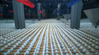 奇葩老外把10万个捕鼠夹放一起,触发瞬间,慢镜头纪录失控全过程!