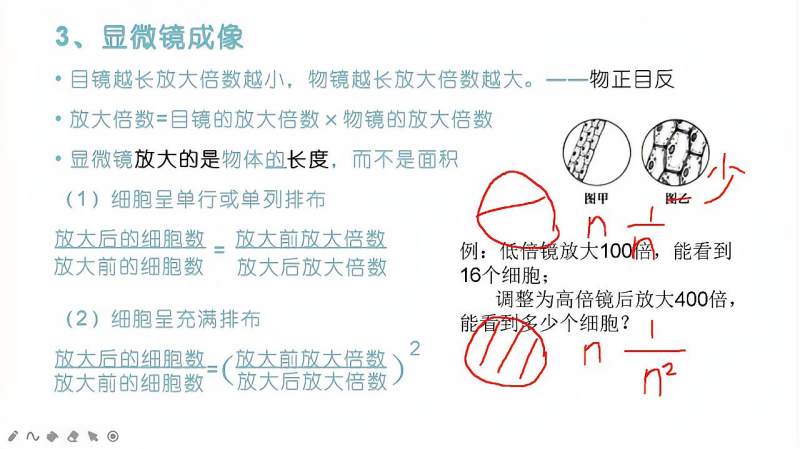 人教版高一生物必修1同步课:细胞的多样性和统一性
