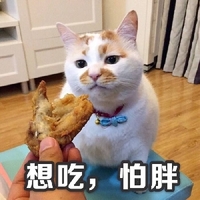 shirley烨子 