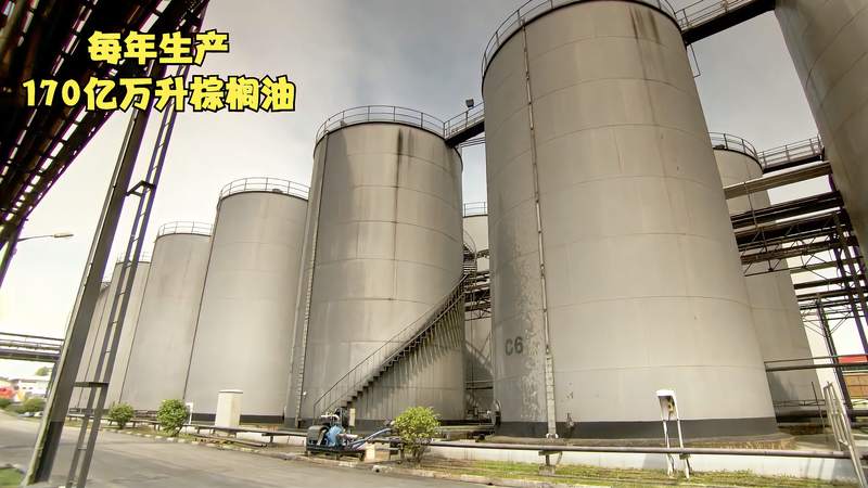 揭秘马来西亚炼油厂,用这种方法,每年可以制作170亿万升棕榈油
