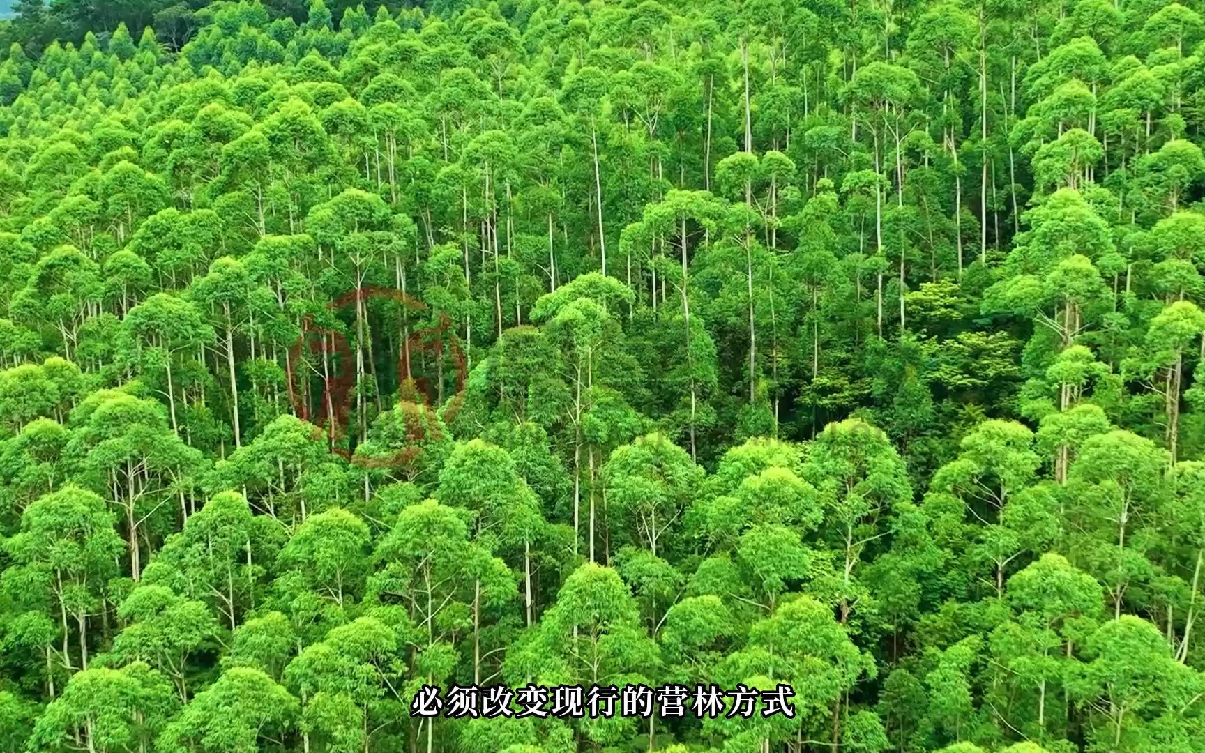 企业宣传片 林业宣传