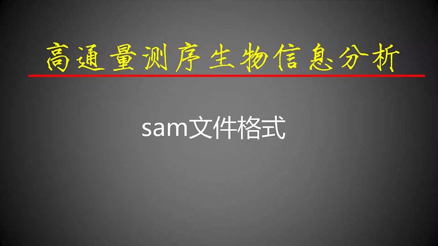 15-sam文件格式介绍