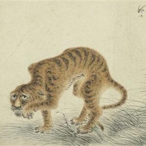 井底蛙说古谈今 