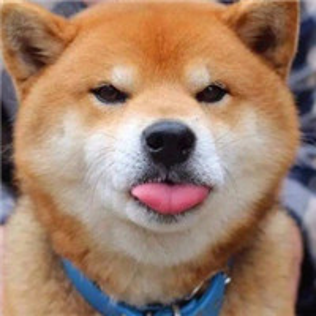 奇妙的动物世界