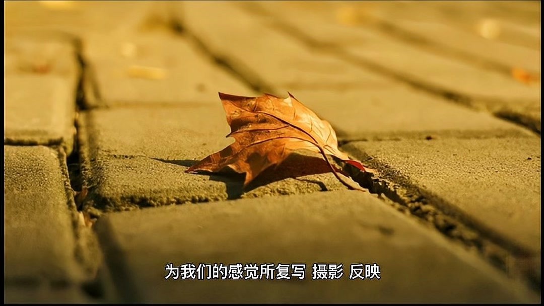 马克思一天一道主观题4