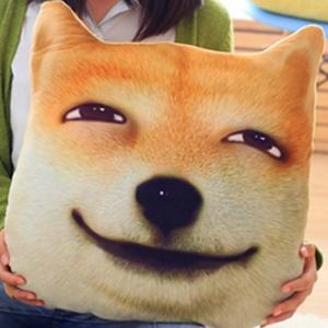 游走旅行的摄影人 