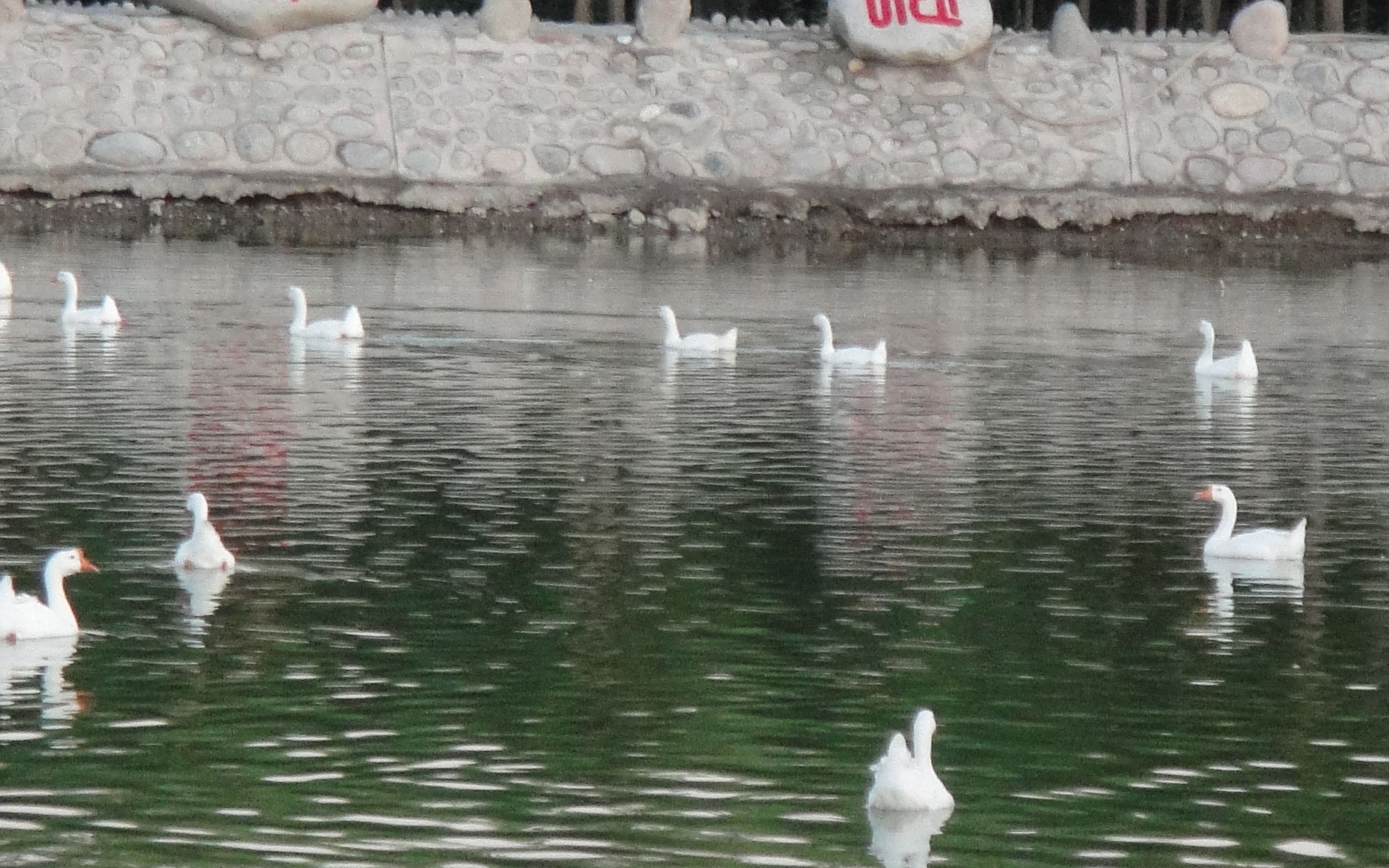 1352次列车行驶在兰新铁路上