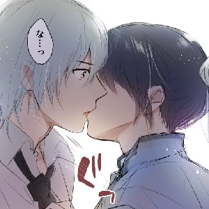 SR新兰 