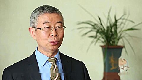 中华医药 白桦茸生长15年以上才有药食两用功效