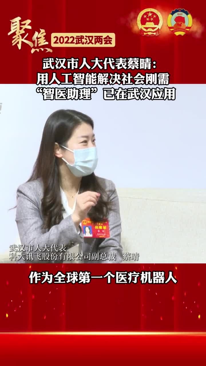 第2集 | 2022武汉两会|1月10日,武汉市人大代表蔡晴:用人工智能解决...