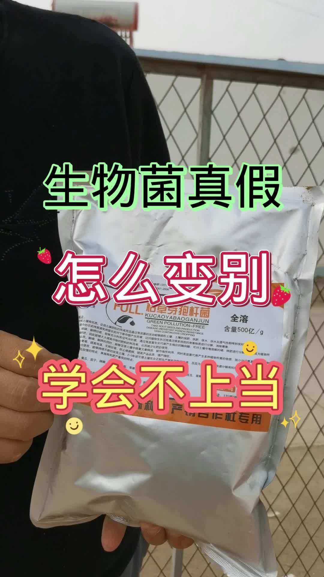 真生物菌是这样的#生物菌剂 #农业技术 #蔬菜种植技术 @三农