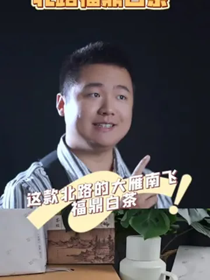 爱喝茶的茶友,这款北路的大雁南飞 福鼎白茶,选自2018秋寿眉,干仓...