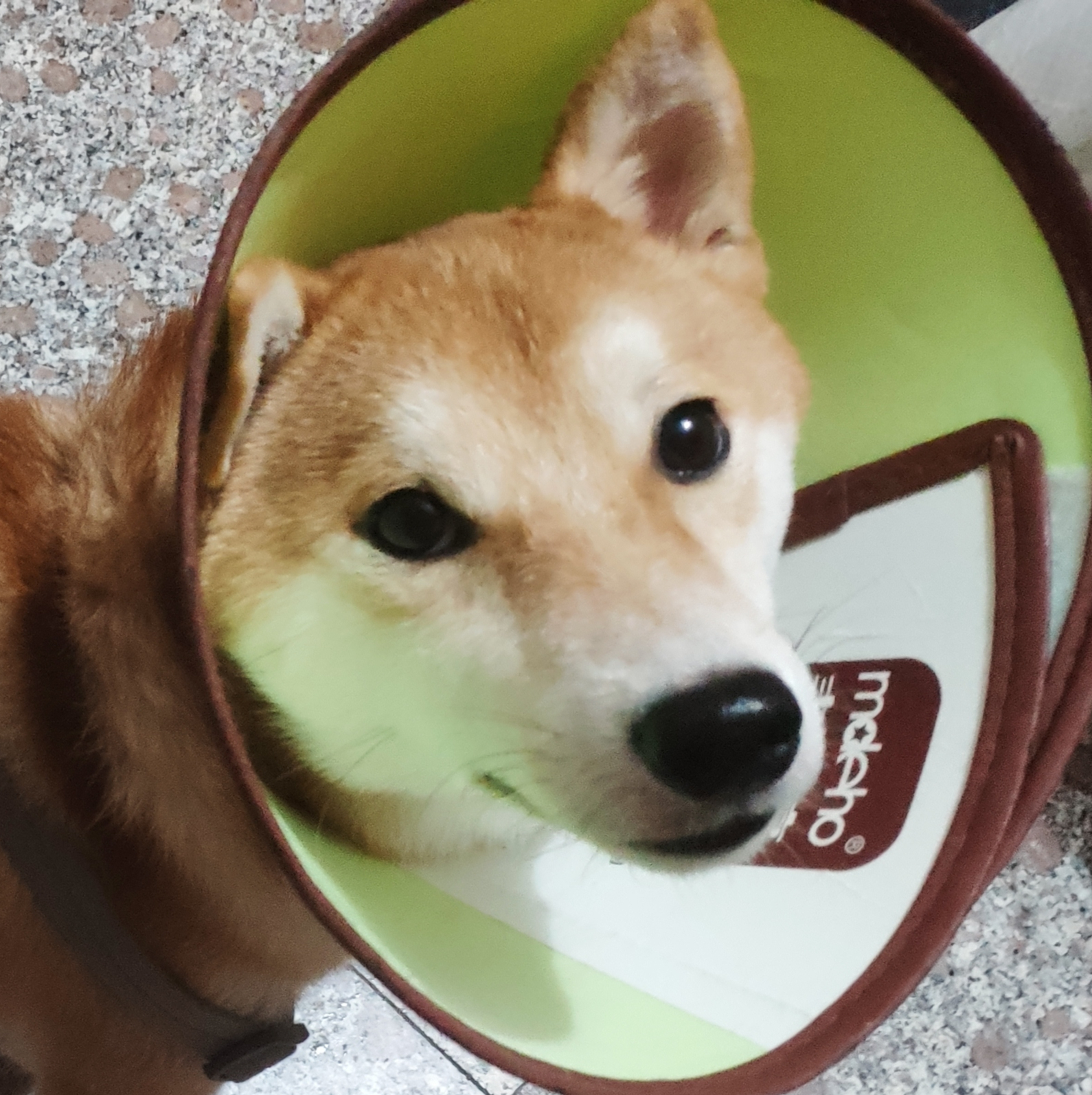 暮绪 