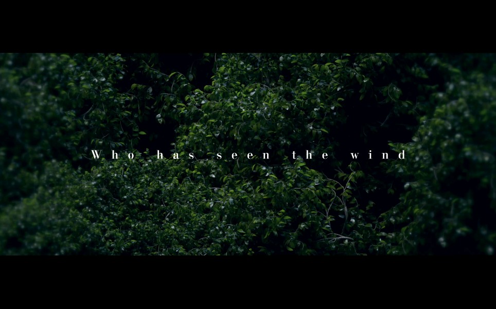 C4D树叶动画建模与渲染视频展示