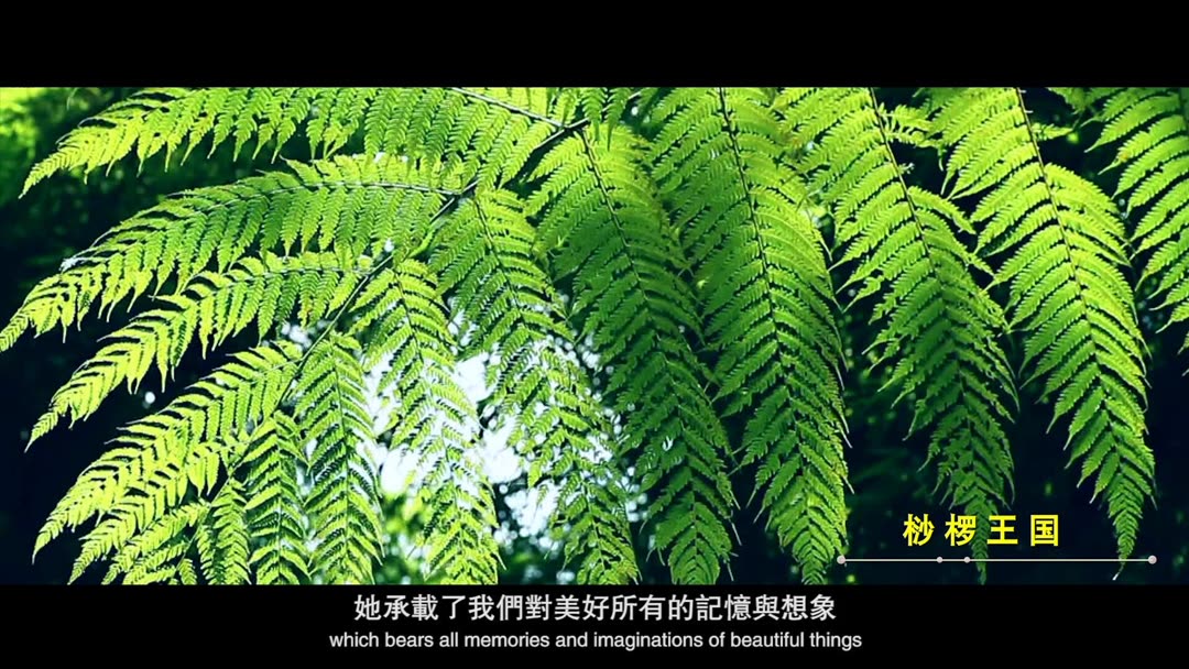 遵義招商推介專題片繁英字幕版(遵义招商推介宣传片)+1080P