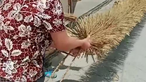 养蚕必备,你知道有啥用途吗?