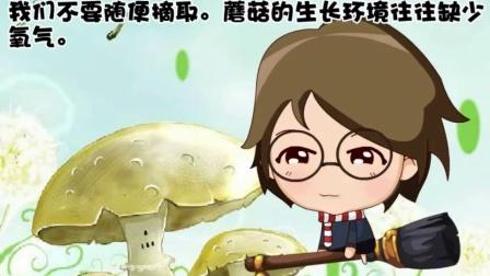 【盛源动漫】-蘑菇是如何生长的