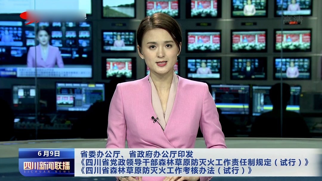 省委办公厅、省政府办公厅印发《四川省党政领导干部森林草原防灭火...