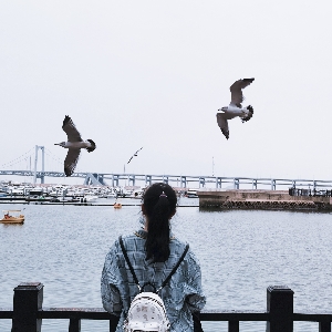 Lin仅仅 