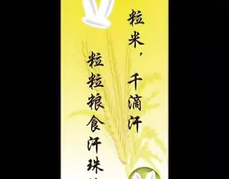 土地资源与城乡规划学院 “光盘”在行动 宣传片
