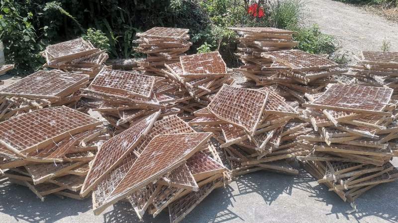 蚕过几天吐丝,农村小伙和妈妈晒方格簇,不到3岁的二宝也来帮忙