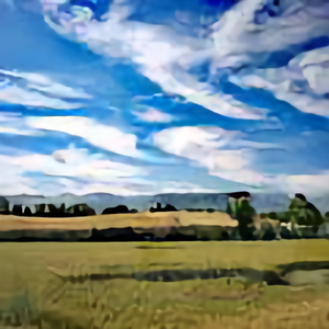 新疆的阿迪姐姐 