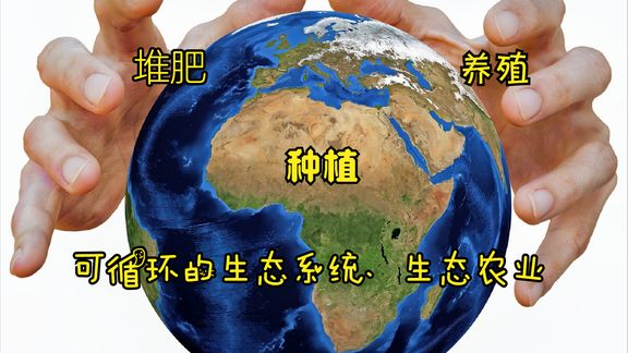 农场堆肥、间种等-这就是我一直要寻找的可循环的生态系统