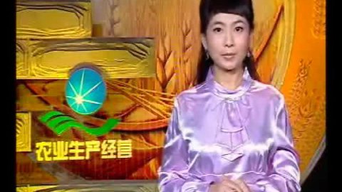 黄皮栽培技术