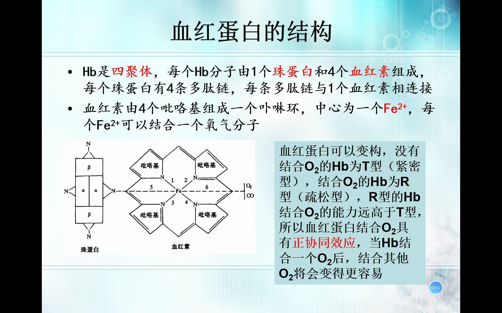 生物竞赛难点80-动物生理学-气体在血液中的运输