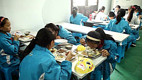 华景研学旅行宣传片.mp4