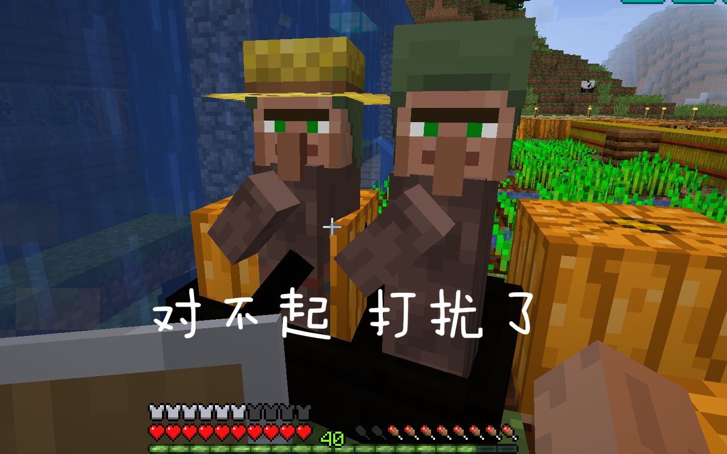 【Minecraft】给大伙看看我在MC中的家