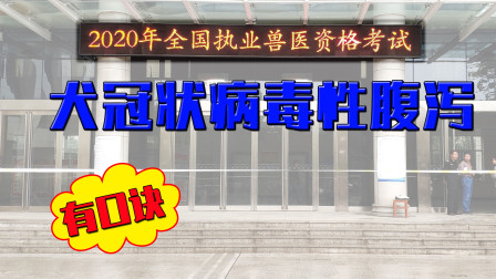 执业兽医考试犬的传染性疾病——犬冠状病毒性腹泻,有口诀